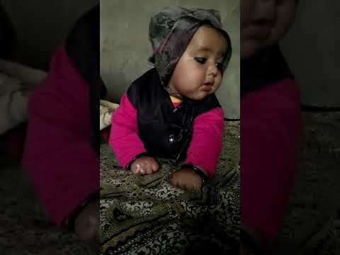Shubham Poonia