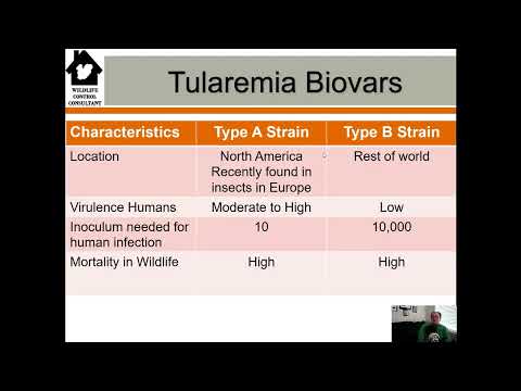 What You Need To Know About Tularemia Rabbit Fever In The US.