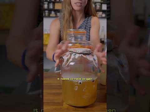 Aerobic Vs. anaerobic Fermentation