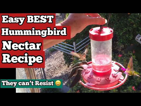 How to Make Hummingbird Nectar Recipe FOOD * PERFECT for Feeder to Attract Hummingbirds FAST & EASY