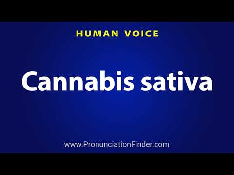 How To Pronounce Cannabis sativa
