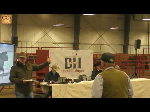 Butz Hill Angus Ames IA Nov 2024_Nov17_14-03-35.mp4