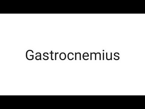 How to pronounce Gastrocnemius