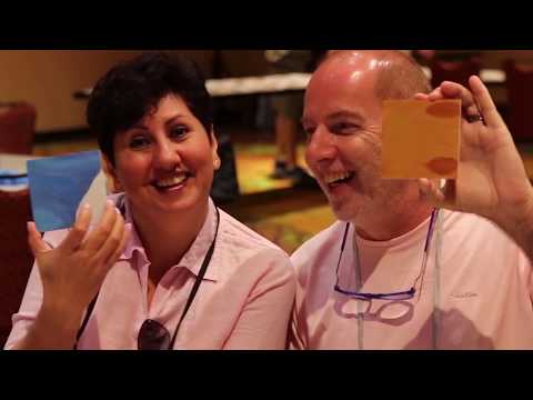 Virtual Team Mosaic™: More Than Team Building