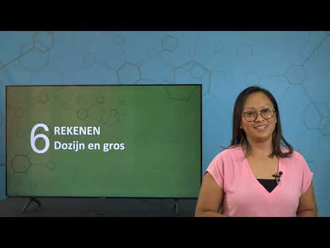 leerjaar 6 DOZIJN EN GROS
