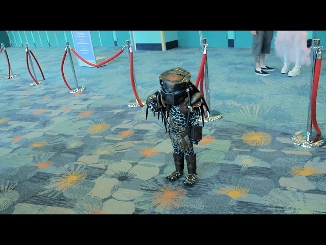 Predator Baby - The Awesomer