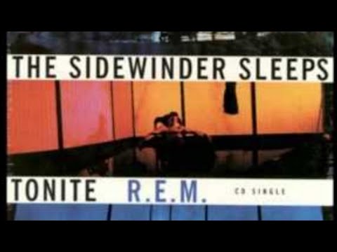 Song Facts R.E.M. The Sidewinder Sleeps Tonight #piste_du_jour