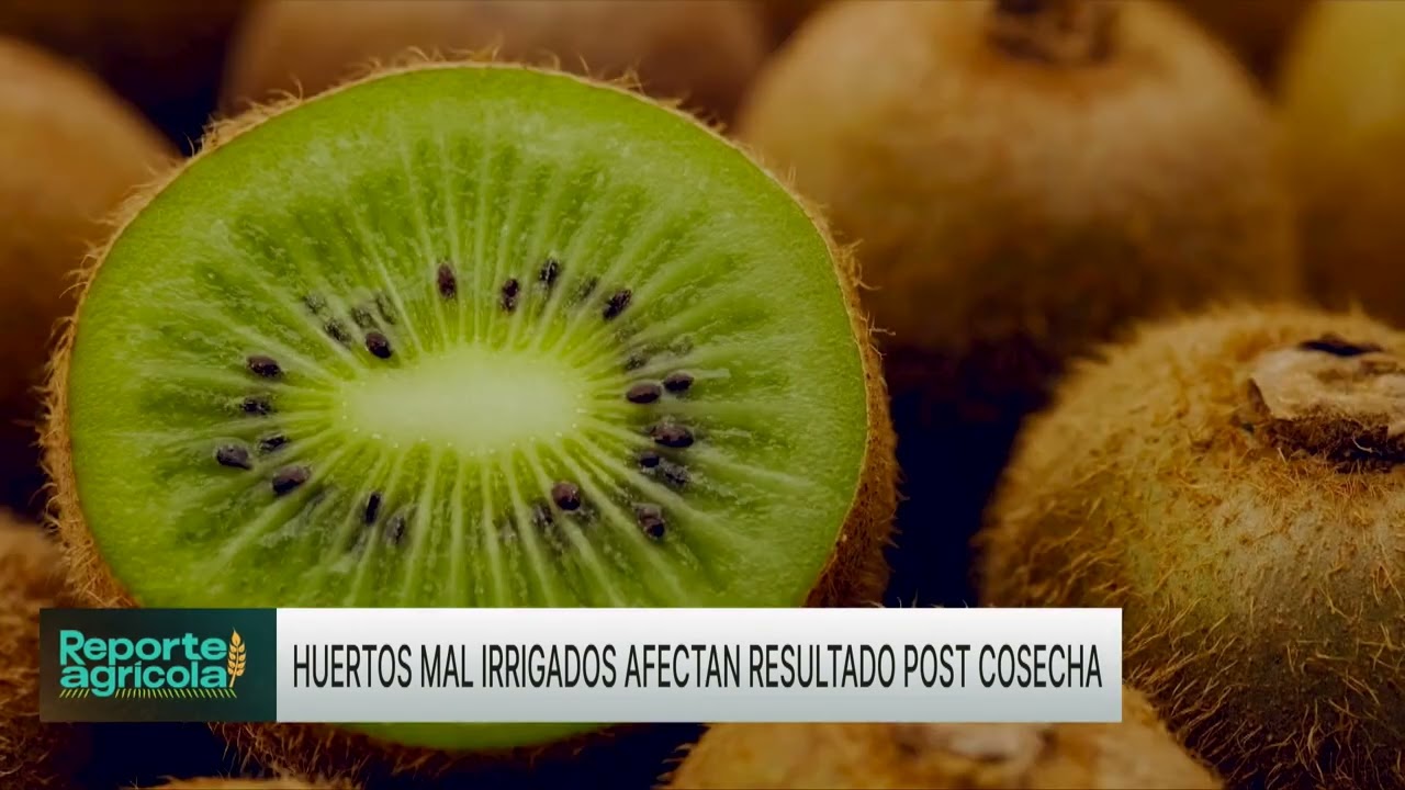 Tecnologías en pre y post cosecha