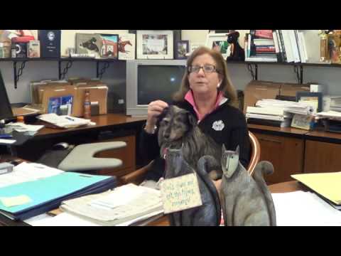 Project Catsnip: Public Service Announcements – #ProjectCatSnip ...