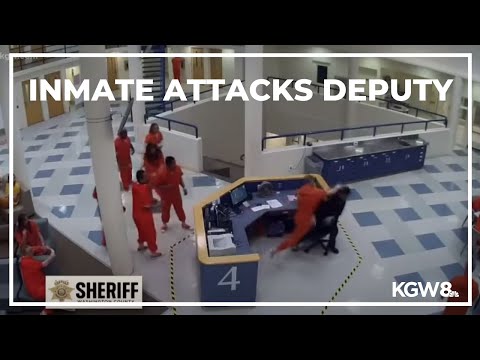 Video: Inmate attacks deputy in Washington County jail