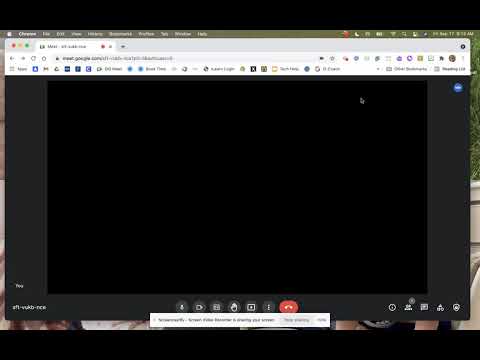 Camera not Working in Google Meet