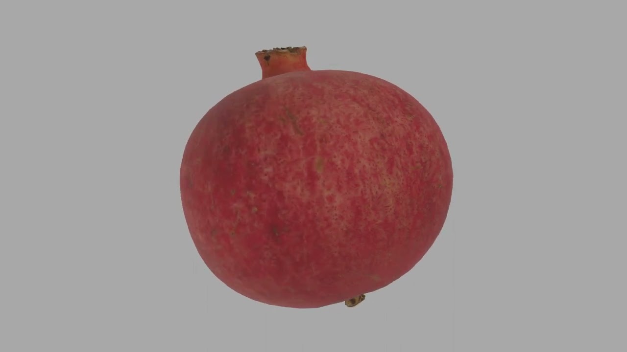 FREE Pomegranate 3D Model 02