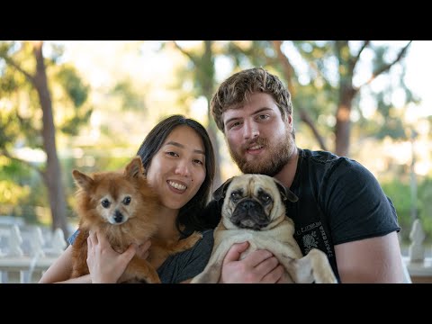 Sigma 35mm F1.2 L mount review / preview on Panasonic S1R | Sample images | 4K