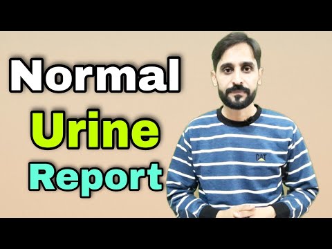 How to Understand Normal Urine Examination Report