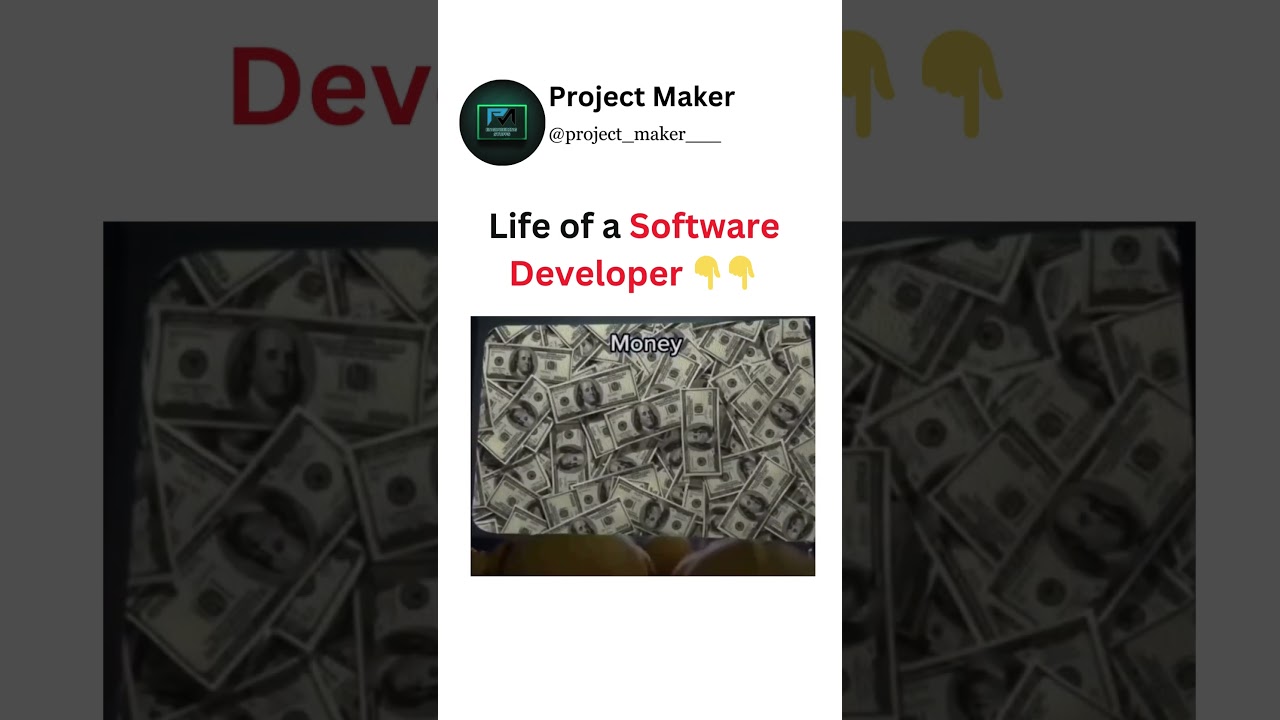 Life of a Software Developer ☝️☝️
