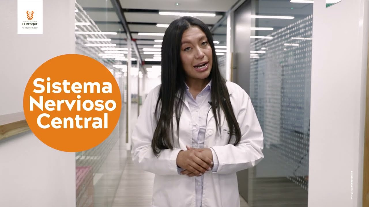 Diplomado en Neurociencias