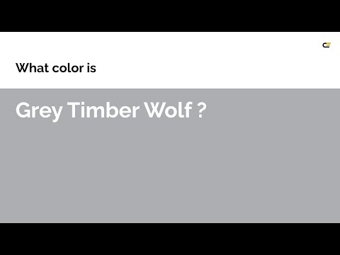 Grey Timber Wolf color #acaeb1 hex color - Blue color - Warm color acaeb1