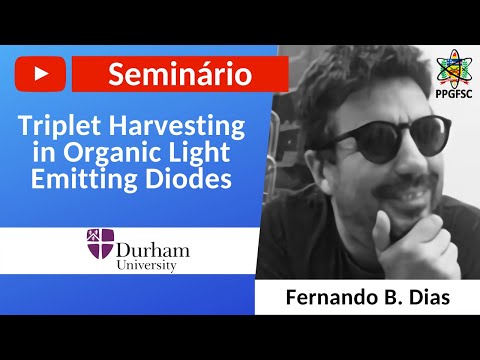 Seminário com Fernando B. Dias - 27 de novembro de 2020 (sexta-feira) - 10h15min