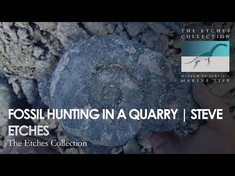 FOSSIL HUNTING IN A QUARRY | STEVE ETCHES