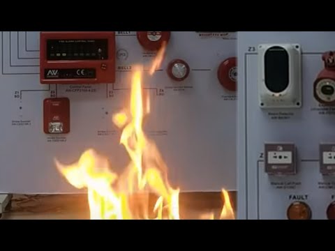 Do you know what kind of smoke detector is working
