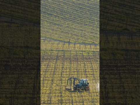 organic farming vs chemical farming|which is better? #farming full vide https://youtu.be/mPCfrlx9A-w