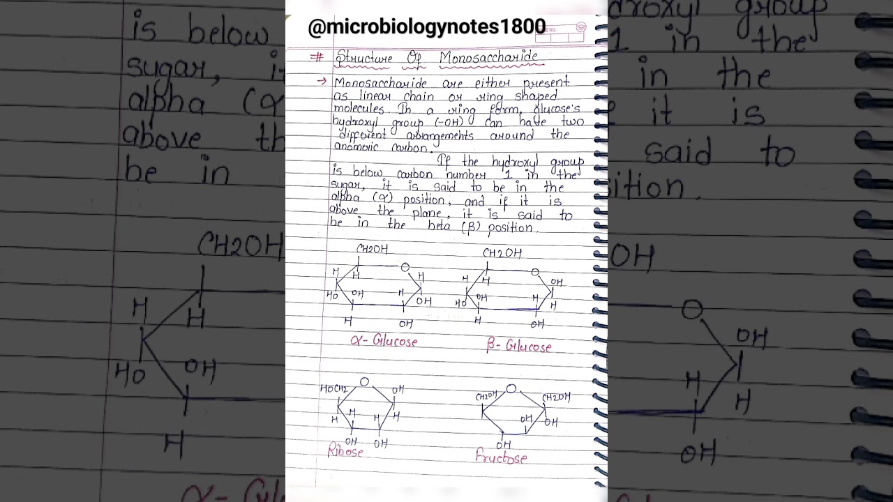carbohydrates complete handwritten notes