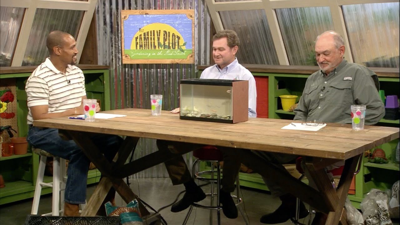 The Family Plot – May 14, 2016