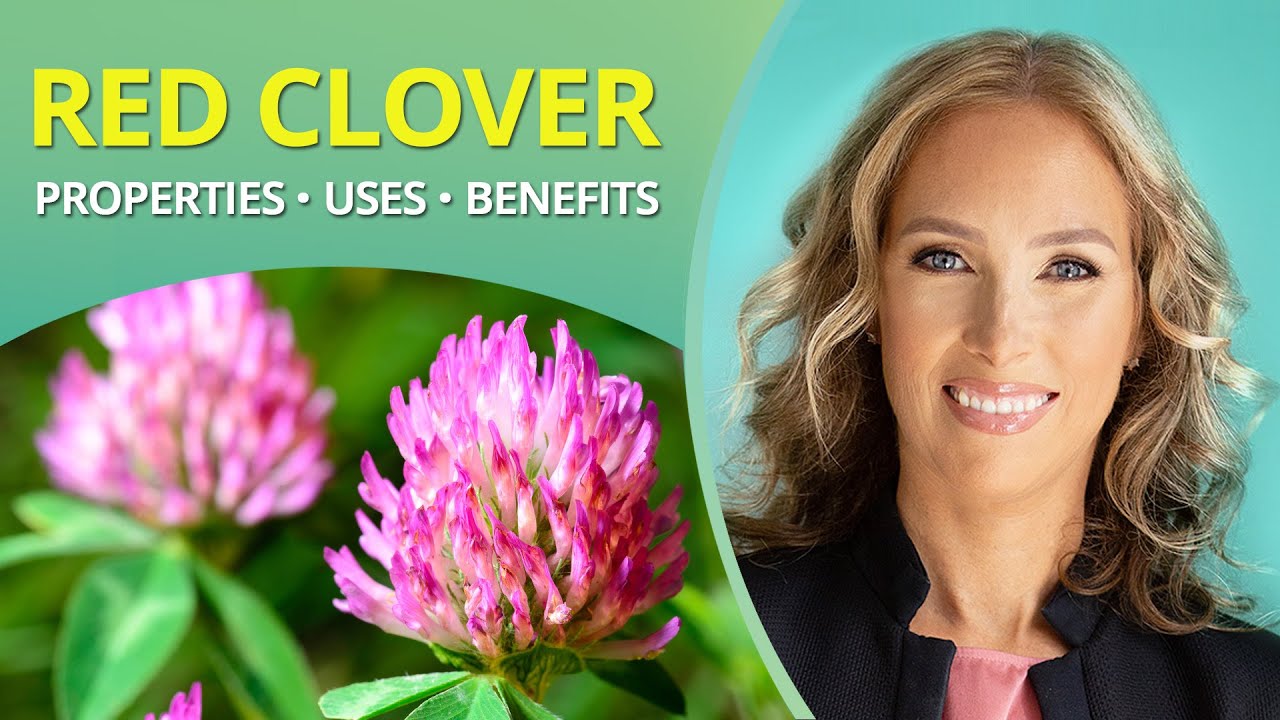 Red Clover:  Benefits, Uses, Properties | Dr. J9 Live