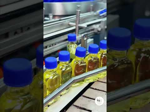 COMO NASCEM OS ÓLEOS DA LOLA?
