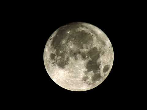 FULL MOON VIDEO HD | Free Stock Footage | Reused Bin