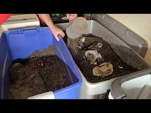 What I do with my used Fox Farm Soil With Mars Hydro Amazon.