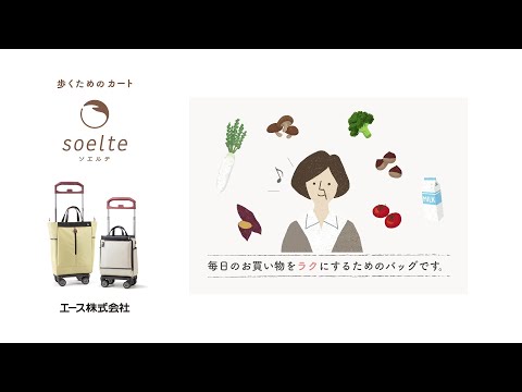 【soelte】How to use soelte shopping carts