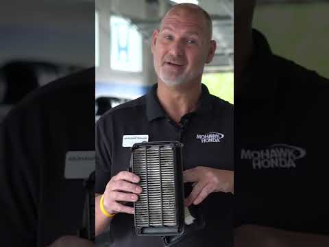 Why you should replace your Engine Air Filter