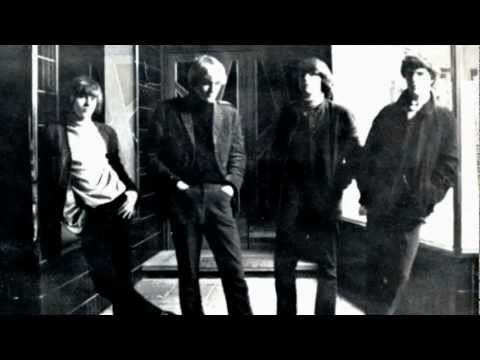 Melvins, The Man Down There | Rock 'n' Roll Remnants