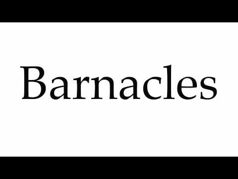How to Pronounce Barnacles