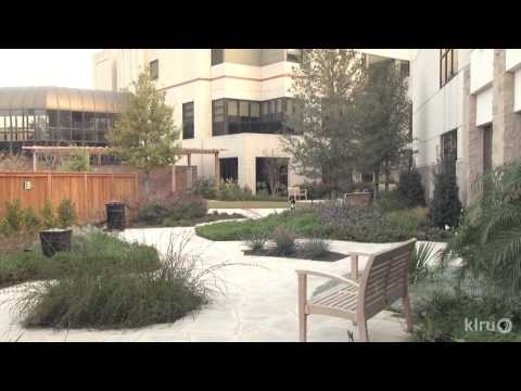 Tranquility Garden hospital healing | Central Texas Gardener