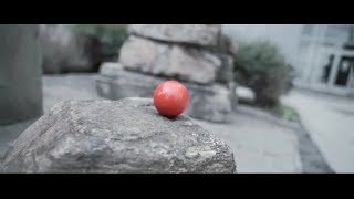 Intelerad Cloud Reviews Dec 2025: Pricing & Features | SoftwareWorld