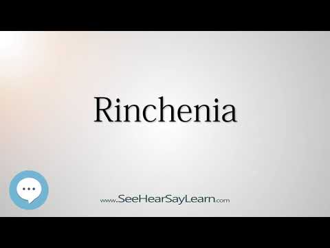 Rinchenia - Dinosaur Names 🔊☄