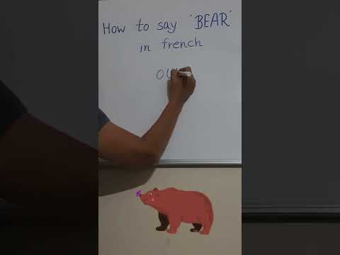 How to say BEAR in french #francaise #viral #motivation #shortsfeed #shorts #learn #world