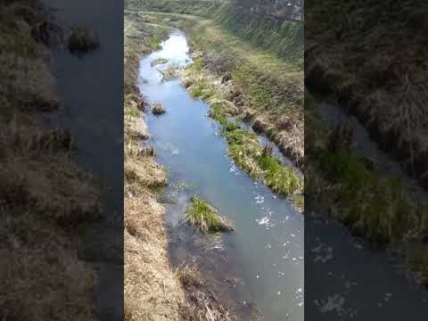Ravanica river in Ćuprija