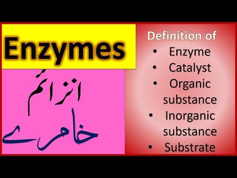 Enzyme ( Catalysts-substrate definitions)