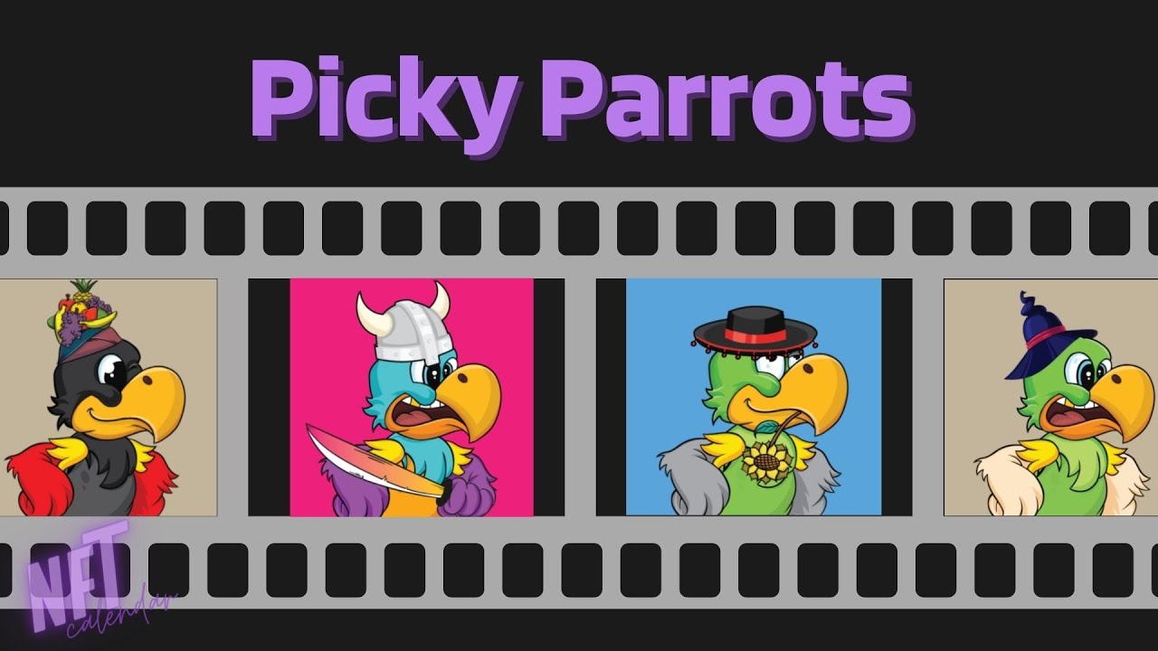 Upcoming NFT drops | Picky Parrots