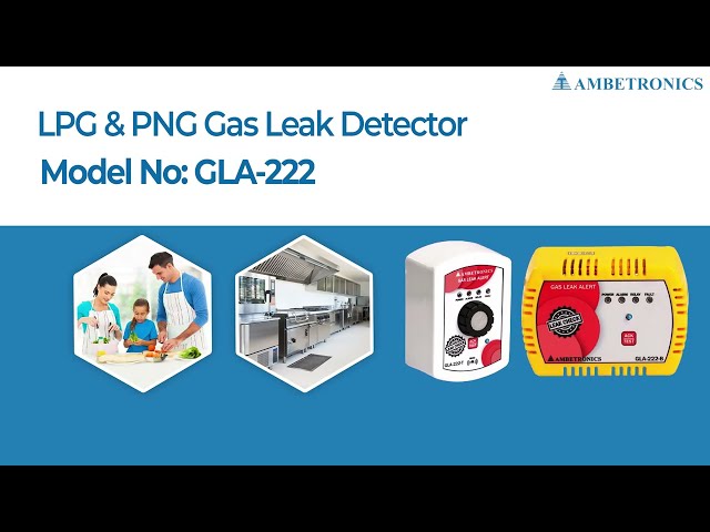 Gas Detectors - Gas Detector with LCD Display GT-2511-FLP Ambetronics ...