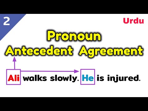 Pronoun antecedent agreement | What is pronoun antecedent agreement | Pronoun antecedent in Urdu