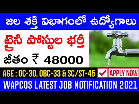 WAPCOS jobs in January 2021 | Latest jobs information | job updates in Telugu |JOB Recruitment 2021