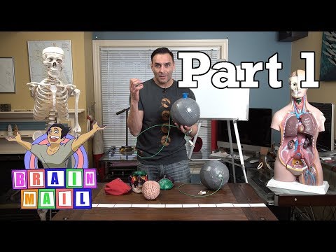 Fentanyl and Carfentanyl - How do they kill you? Part 1 of 2
