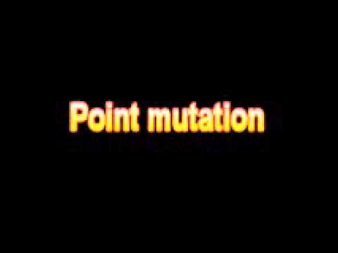 What Is The Definition Of Point mutation Medical School Terminology Dictionary