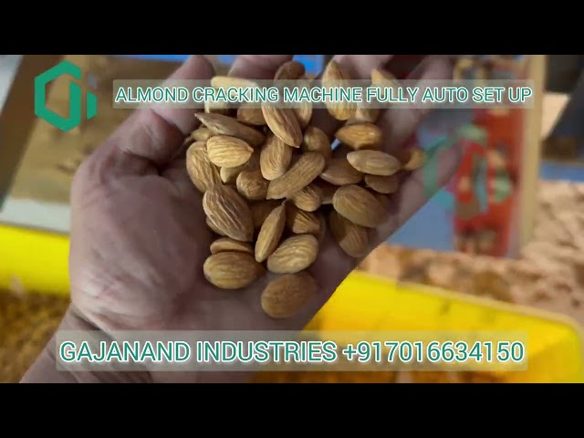 Almond Cracking Machine - Raw Almonds Peeling Machine Manufacturer from ...