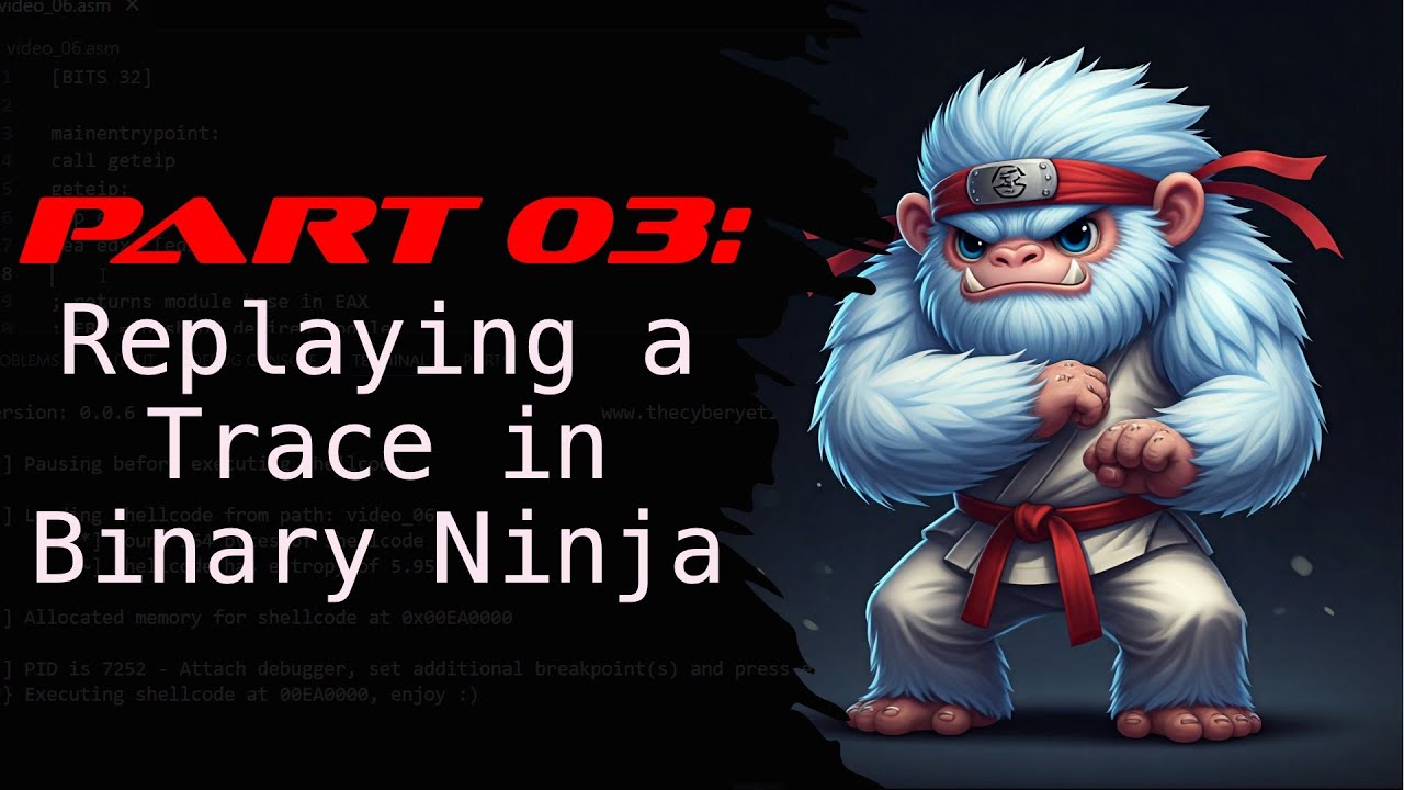 03 - Replaying TTD Traces in Binary Ninja