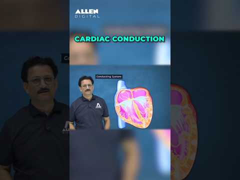 What is Conduction System of the Heart? | Learn with Animations | @ALLENNEET #shorts